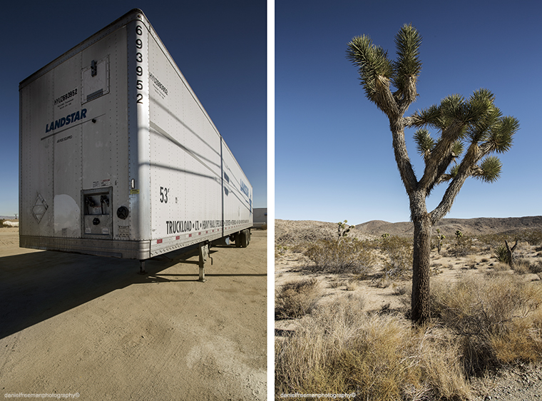 USA in Colour Pt2: Amboy, 29 Palms and Joshua Tree | Daniel Freeman ...