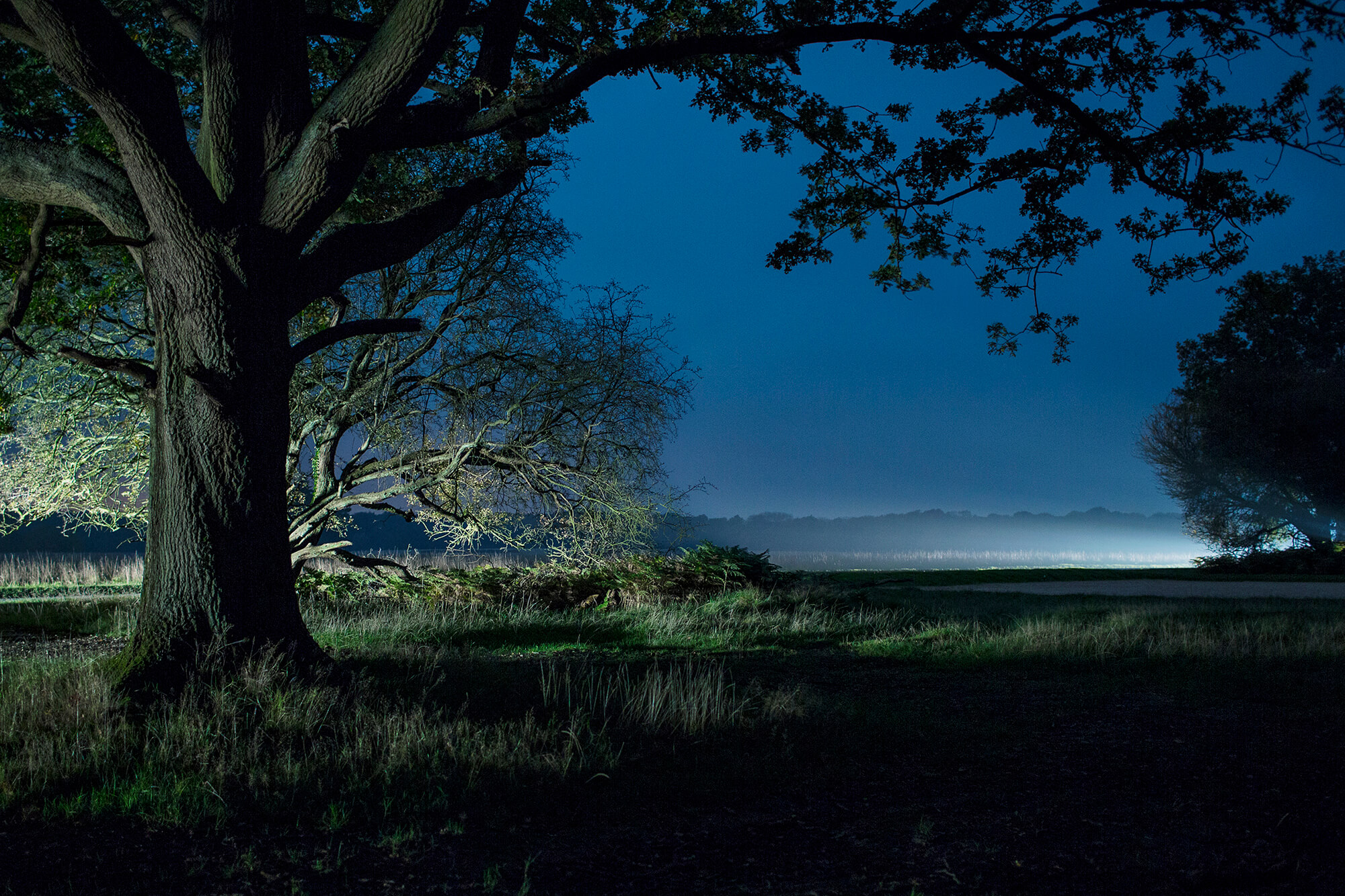Daniel Freeman Photography